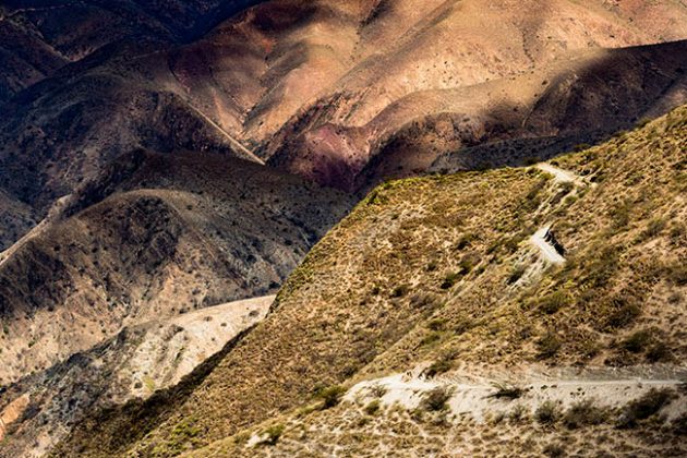La falta de información, una de las mayores amenazas para el Bosque ...