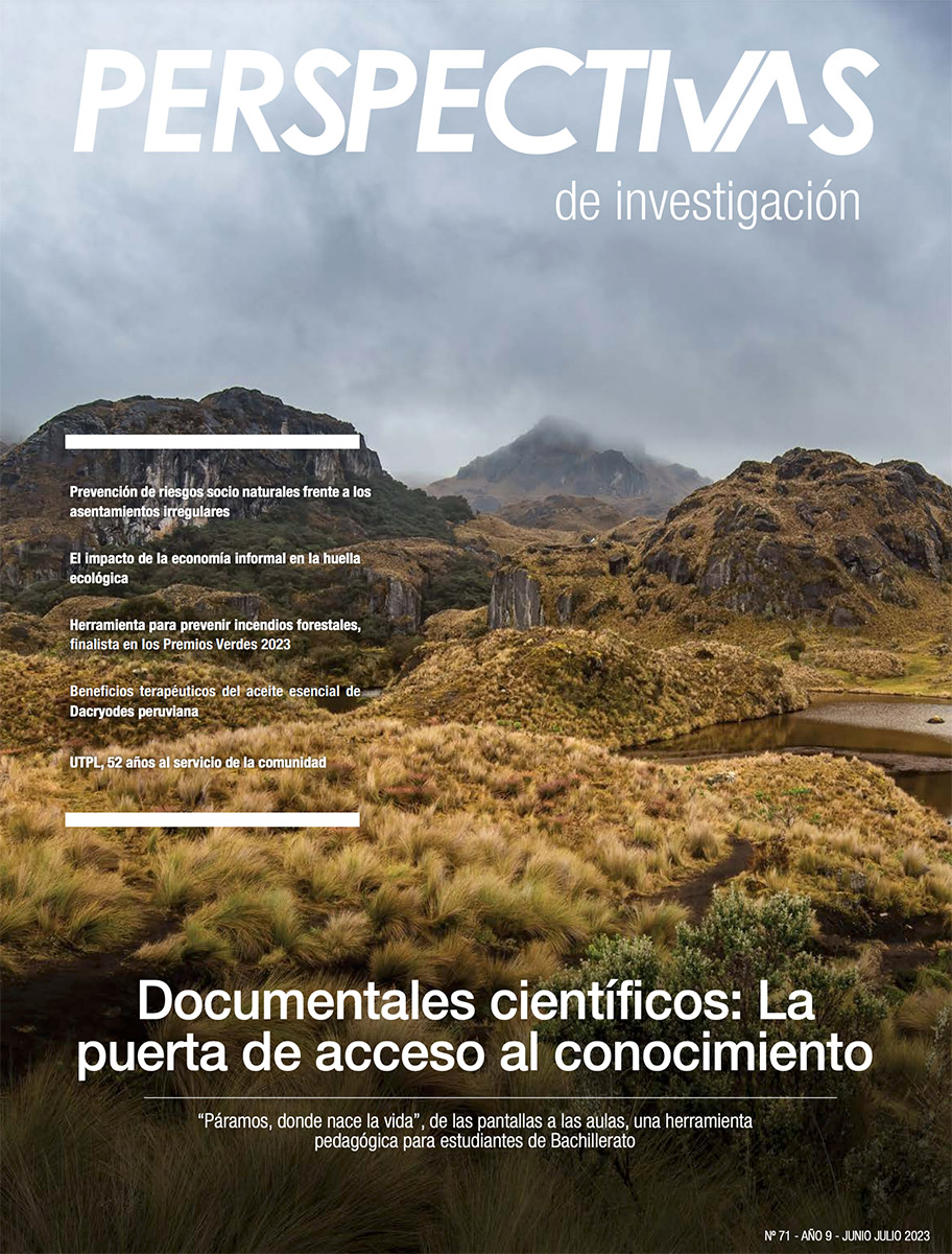 El impacto de la economía informal en la huella ecológica | Cultura ...